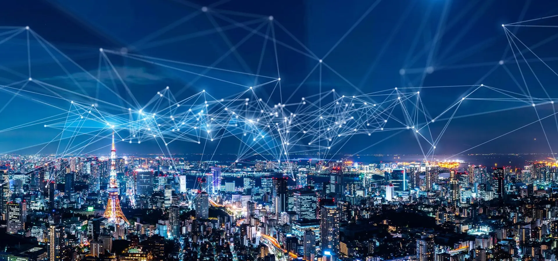 Local Area Networks Bitesize Bundle – Part 2 - TAVCOM